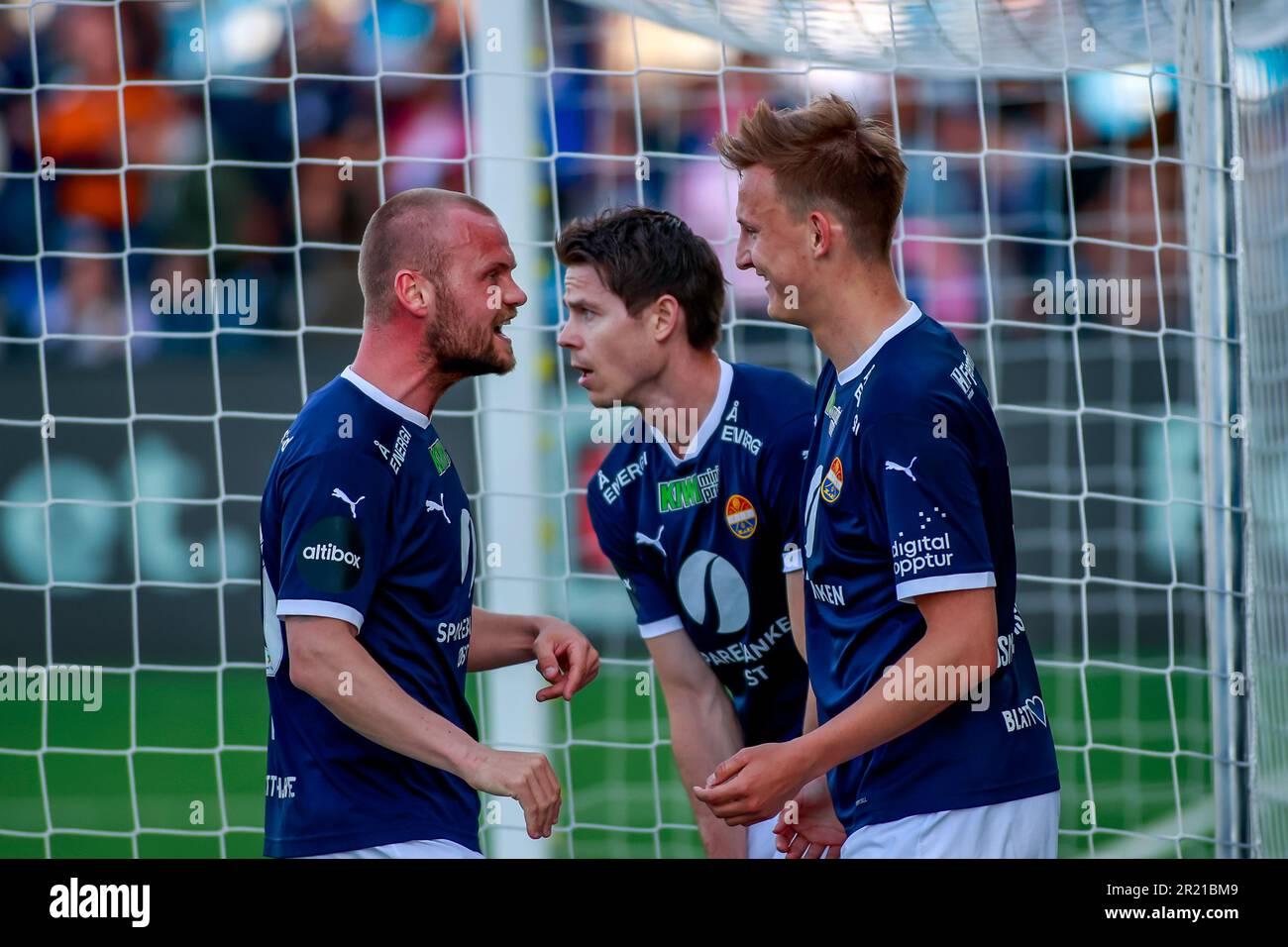 Stengel hi-res stock photography and images - Alamy