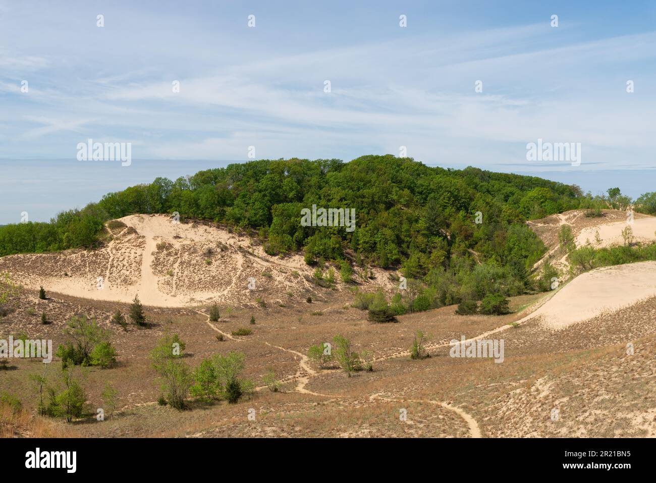 Sand dunes and Spring landscape on a sunny morning. Warren Dunes State ...