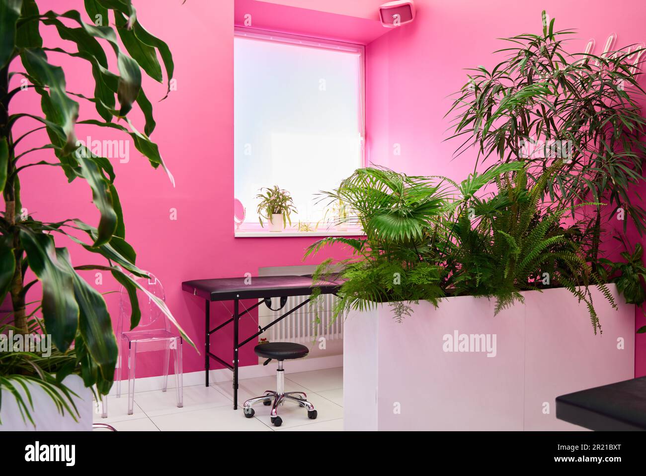 Modern pink interior with lots of plants Stock Photo - Alamy