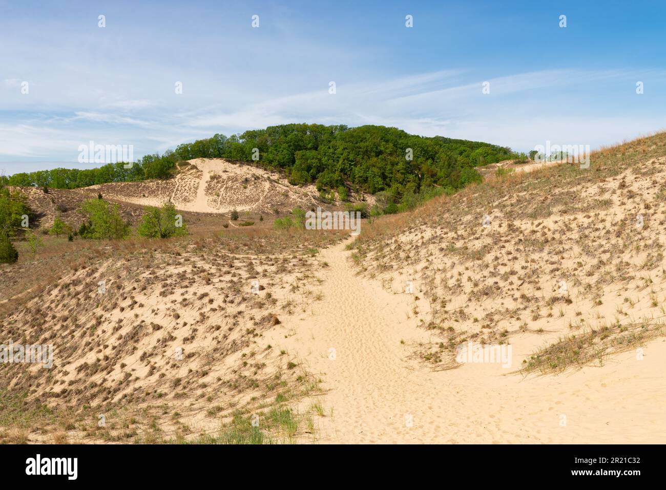 Sand dunes and Spring landscape on a sunny morning. Warren Dunes State ...