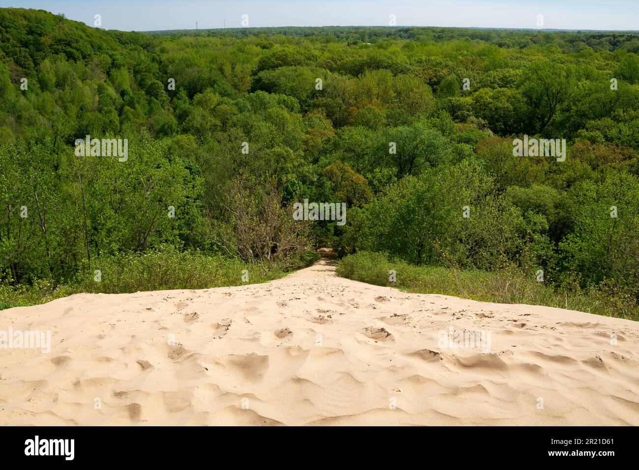 Hiking trail through the sand dunes on a beautiful Spring morning ...