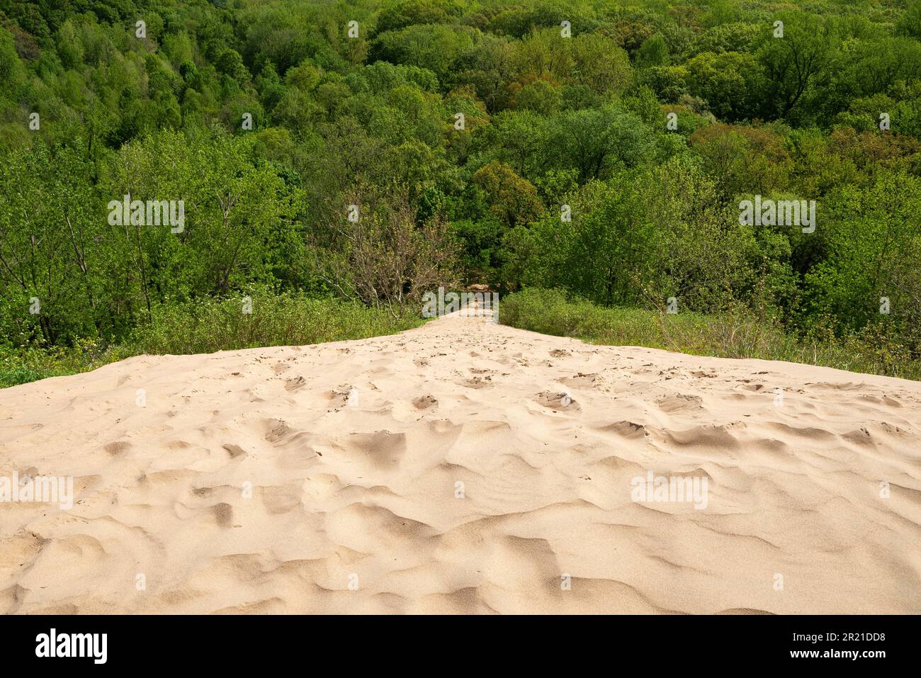 Hiking trail through the sand dunes on a beautiful Spring morning ...