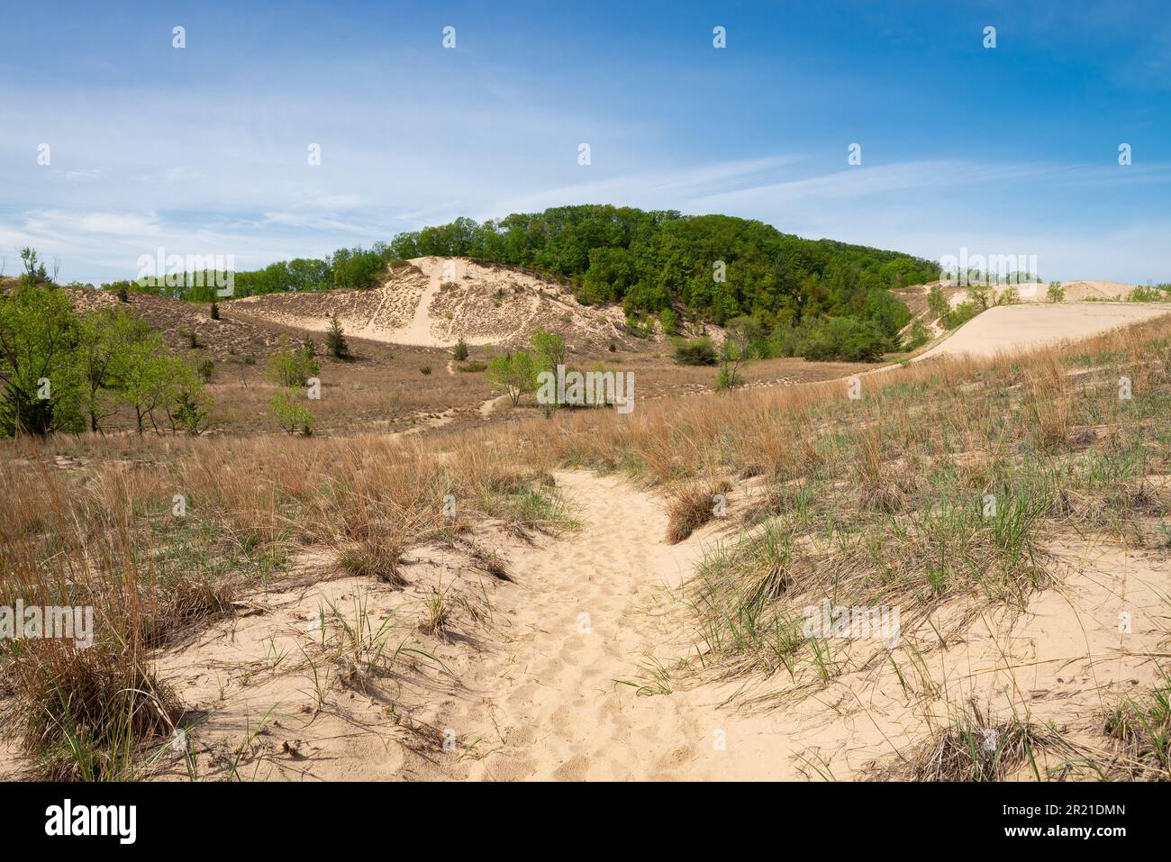 Hiking trail through the sand dunes on a beautiful Spring morning ...