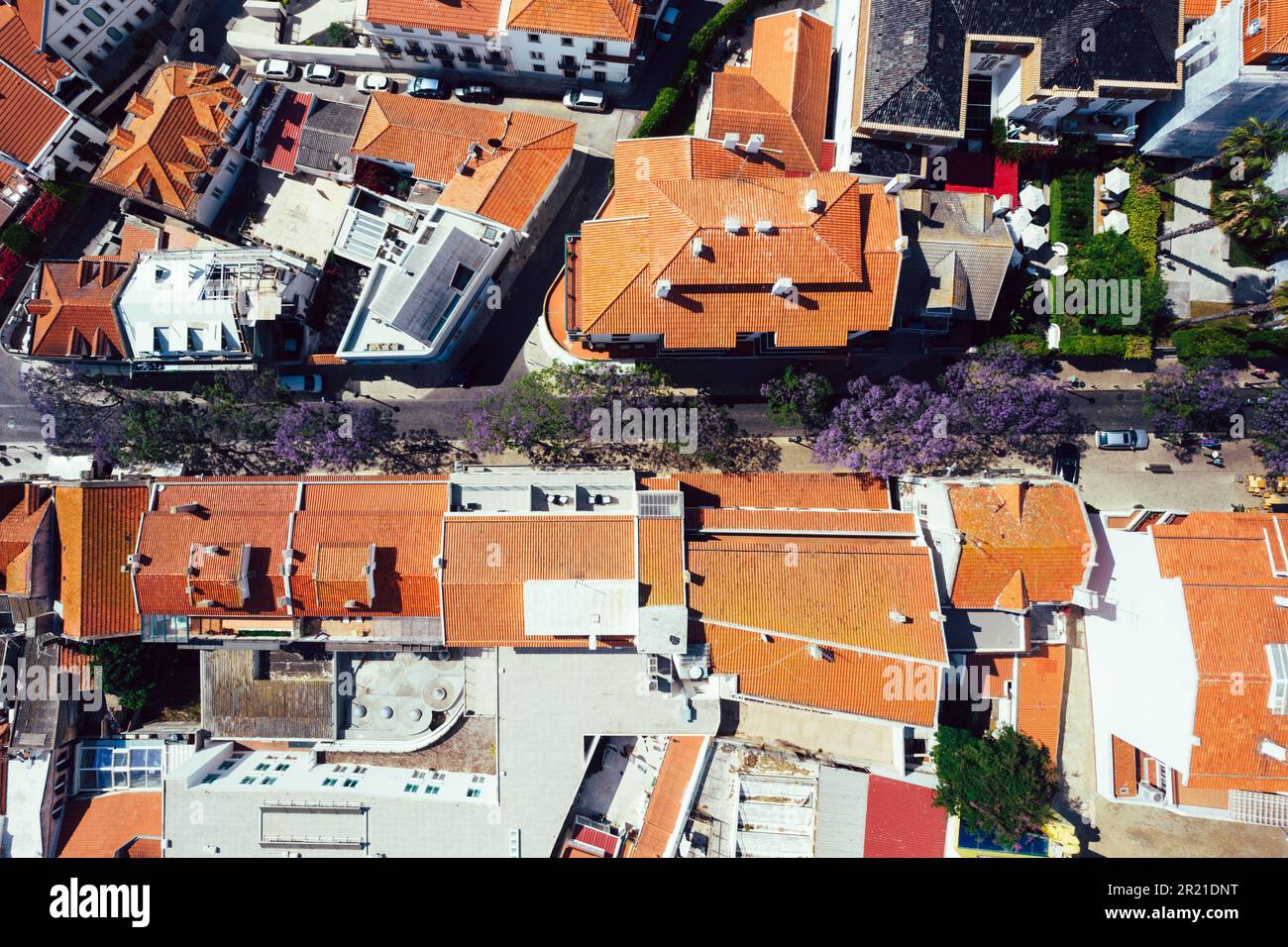 Top view purple jacaranda tree hi-res stock photography and images - Alamy