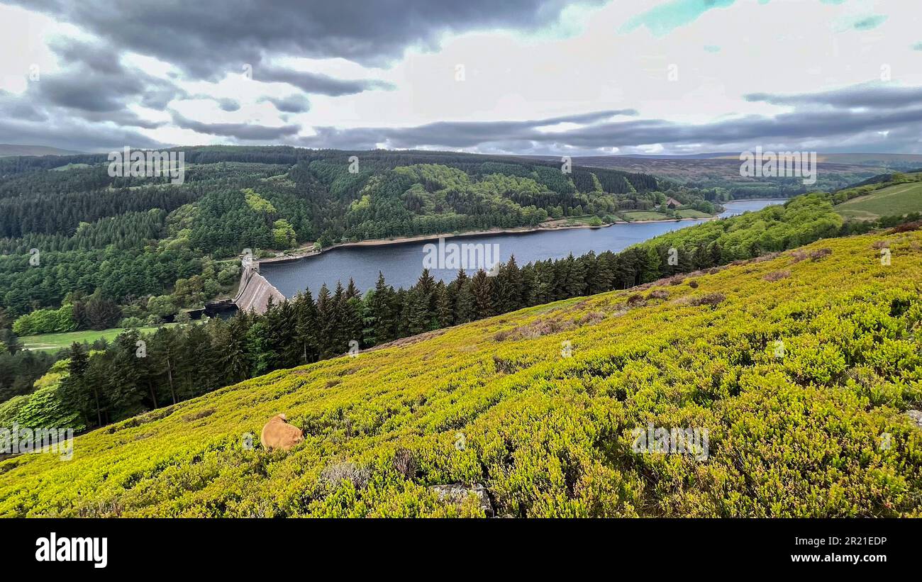 Bamford, UK. 16th May, 2023. A view of Derwent Dam on the Dambusters ...