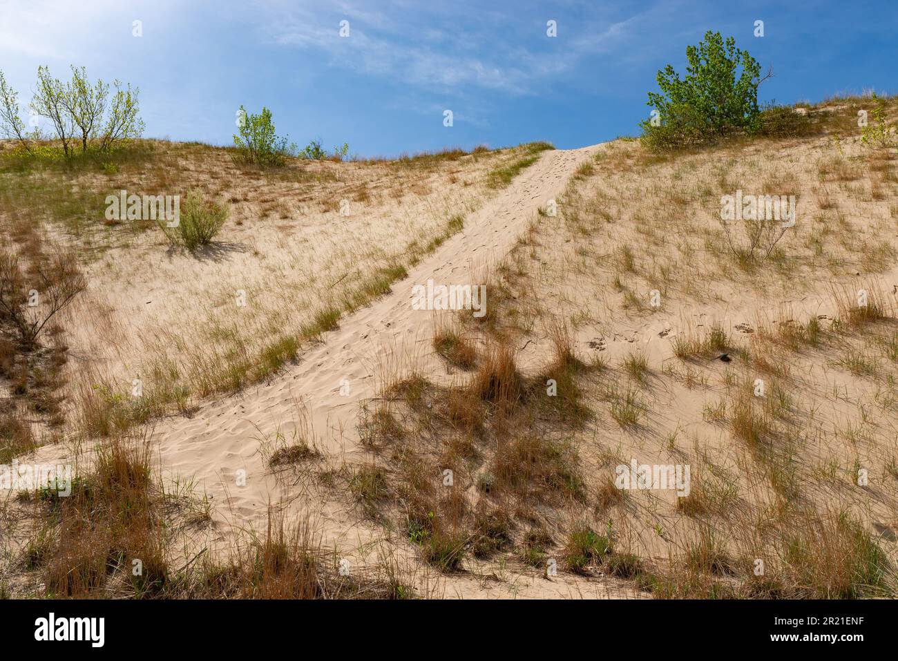 Hiking trail through the sand dunes on a beautiful Spring morning ...
