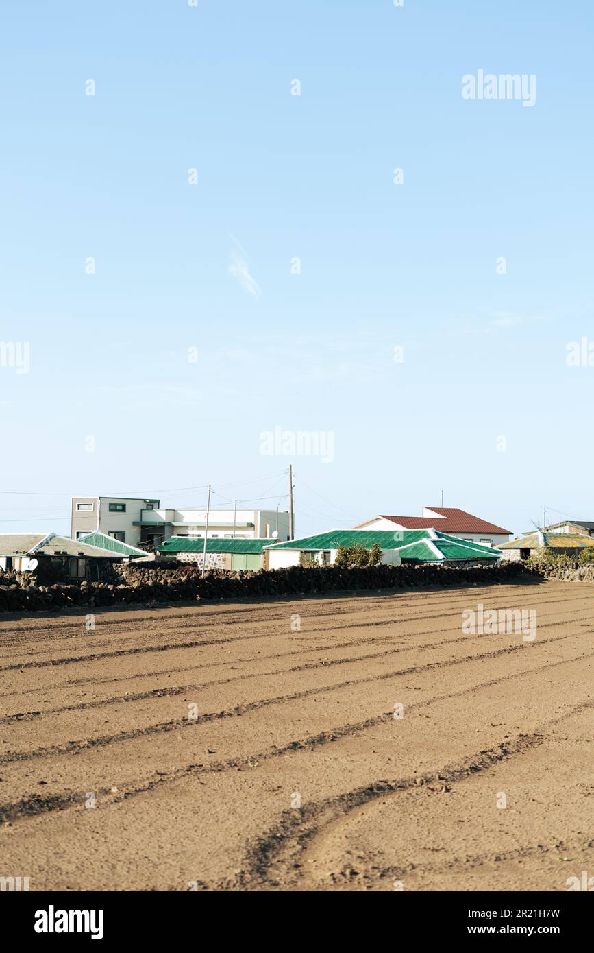 Udo island country village in Jeju island, Korea Stock Photo - Alamy