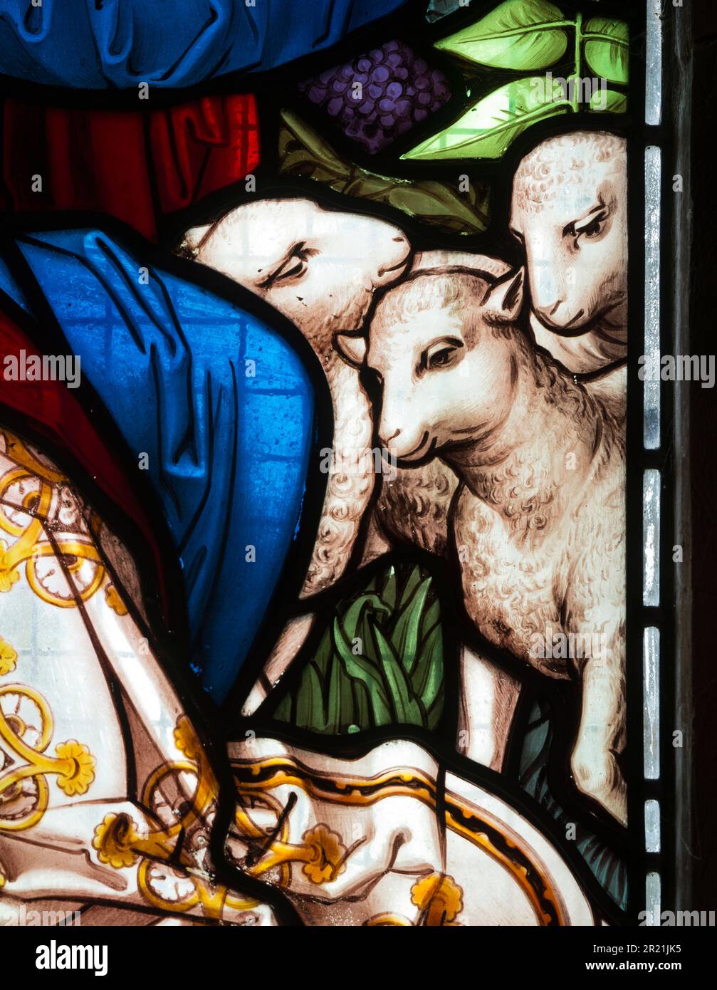 Stained glass sheep detail, St. Laurence`s Church, Lighthorne ...