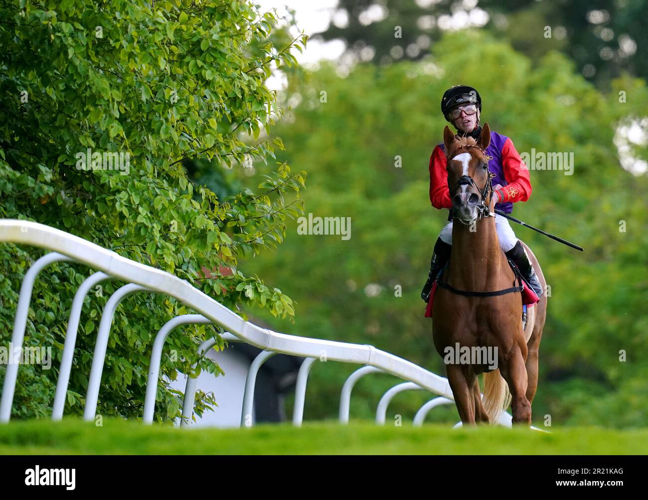 James doyle slipofthepen hi-res stock photography and images - Alamy