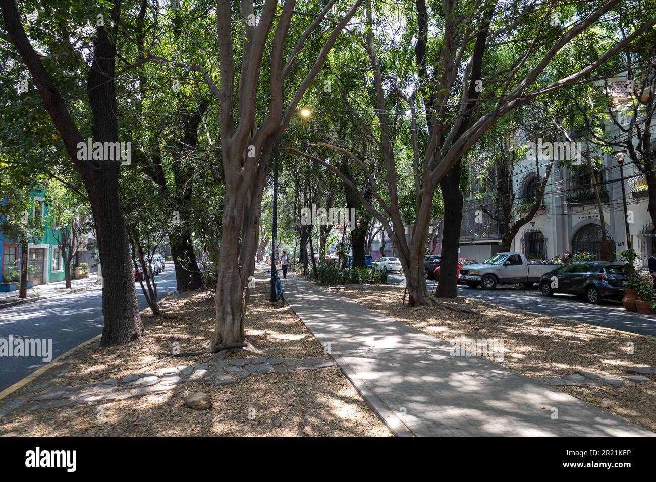 Mexico City, Mexico, May 07, 2023: Amsterdam street in La Condesa ...