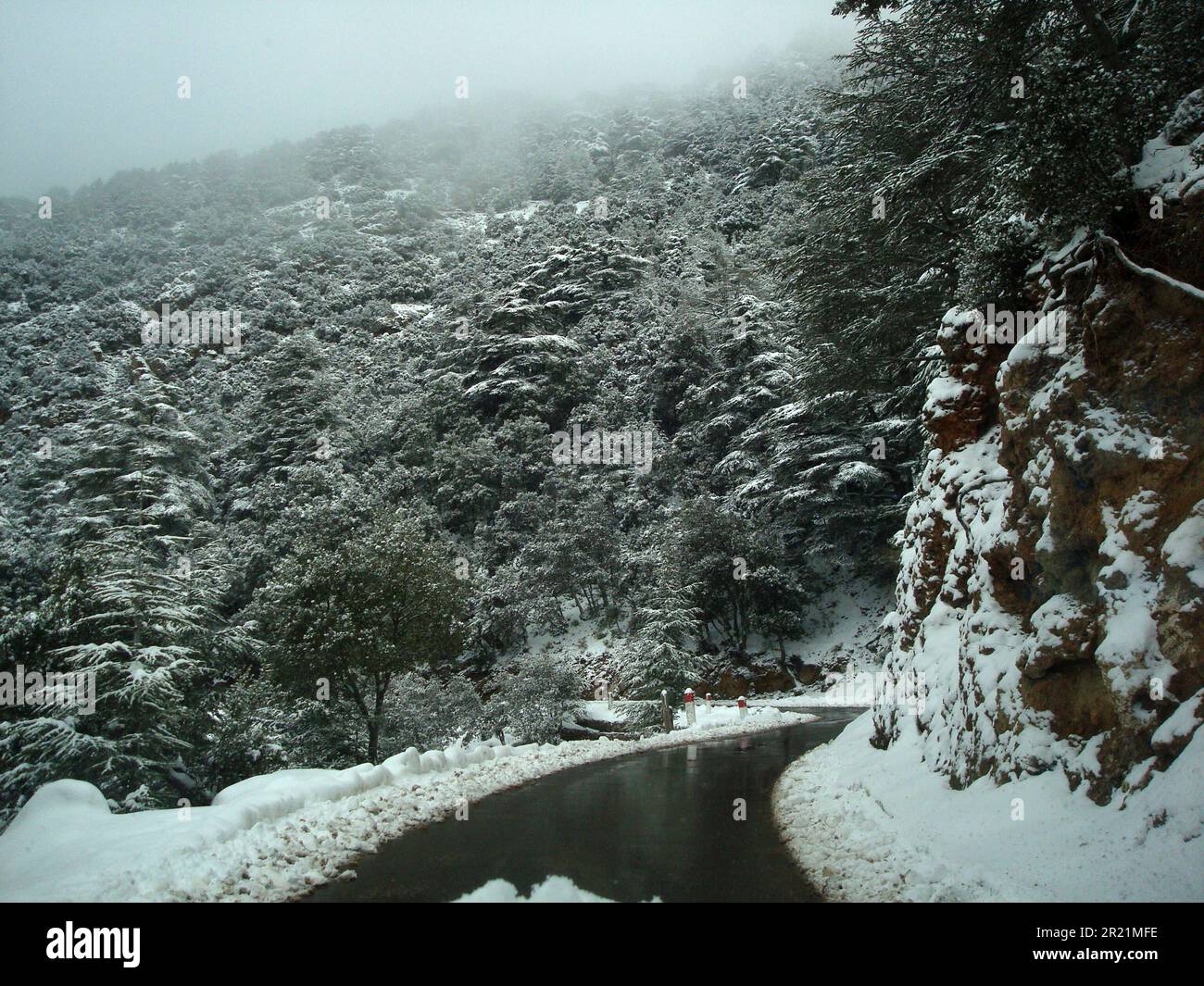 Snow landscapes, Tikjda resort, Djurdjura National Park, north Algeria ...