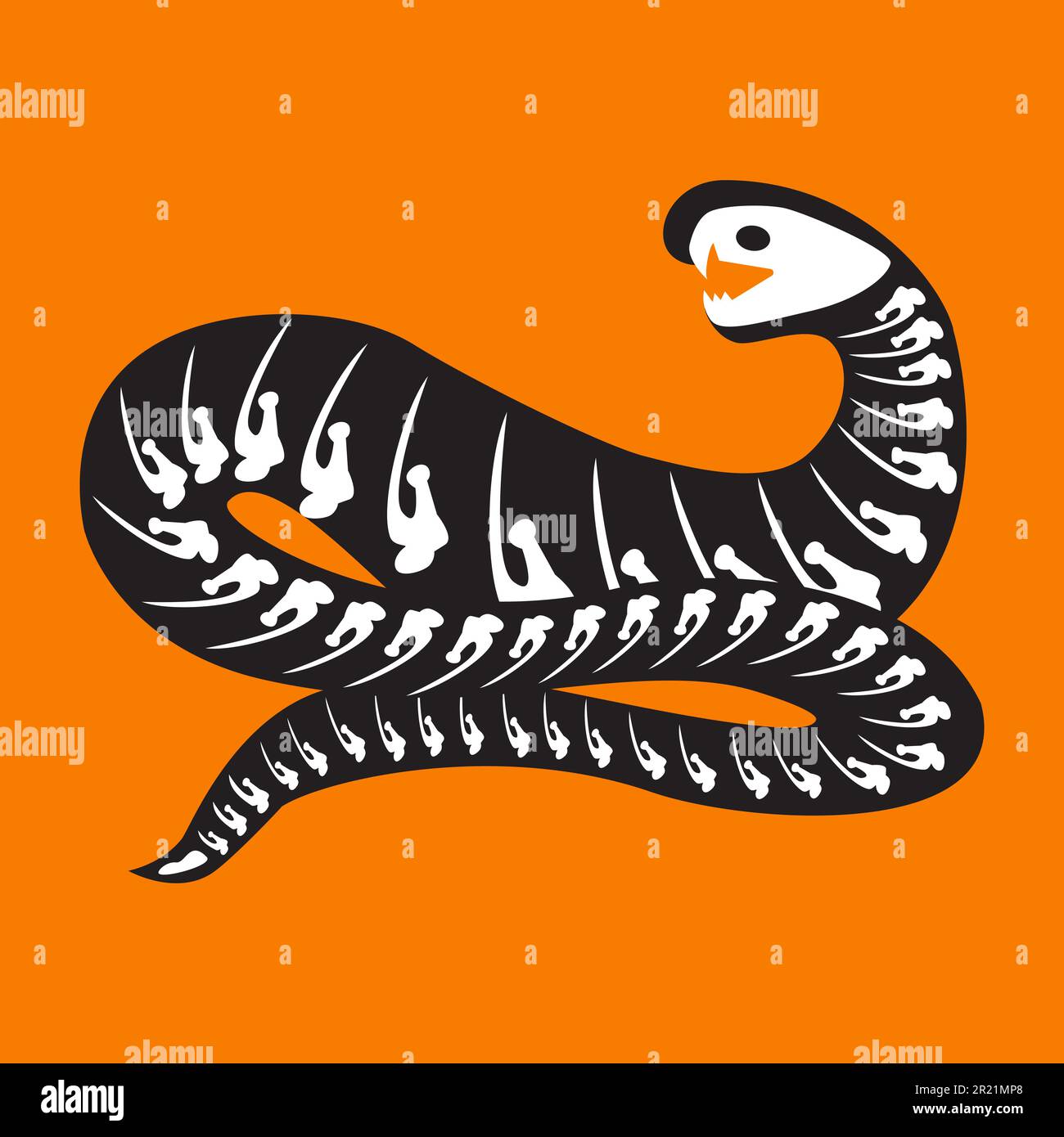 Python skull hi-res stock photography and images - Alamy