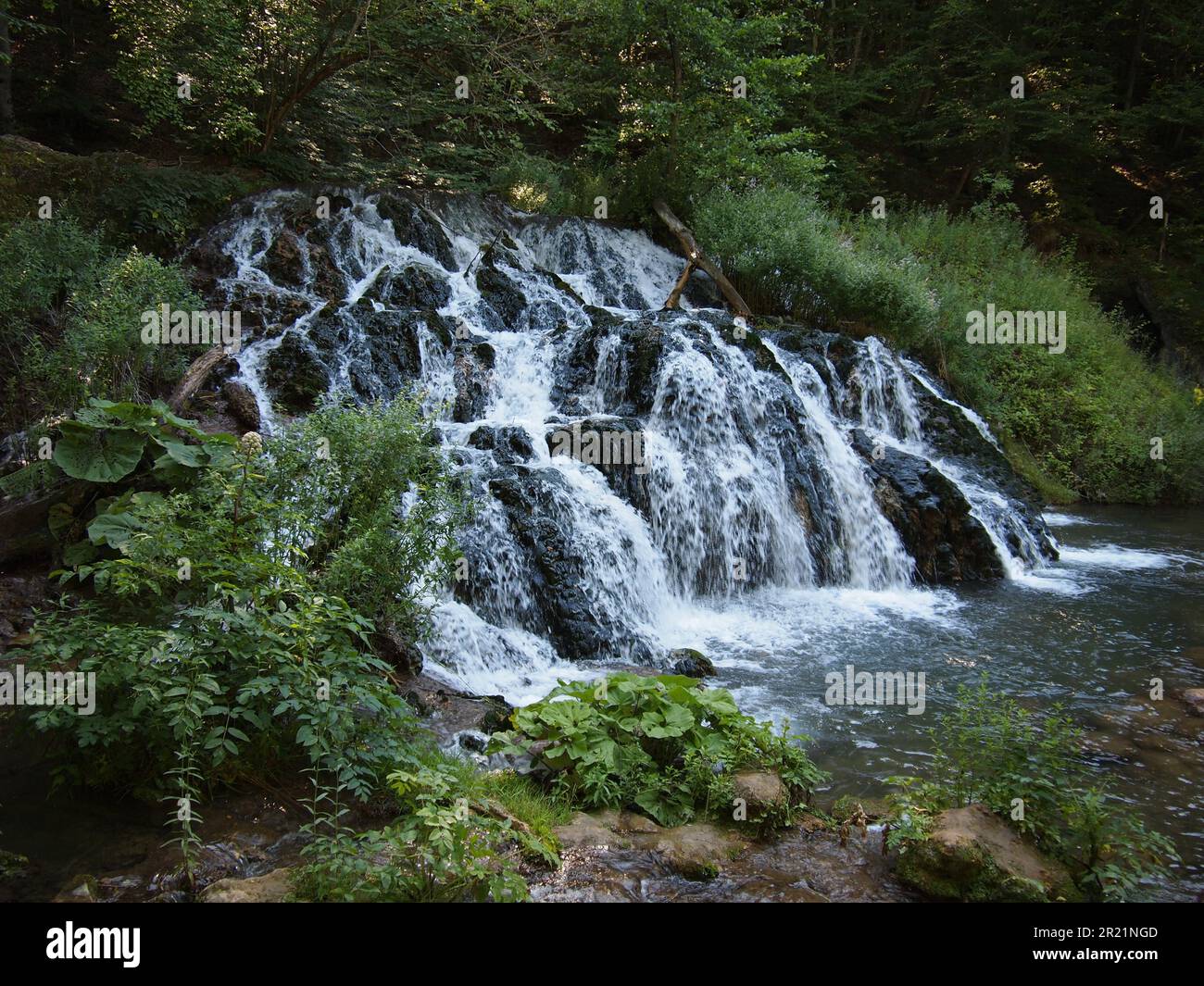 Dokuzak Waterfall (Strandzha Nature Park, Burgas Province, Republic of ...