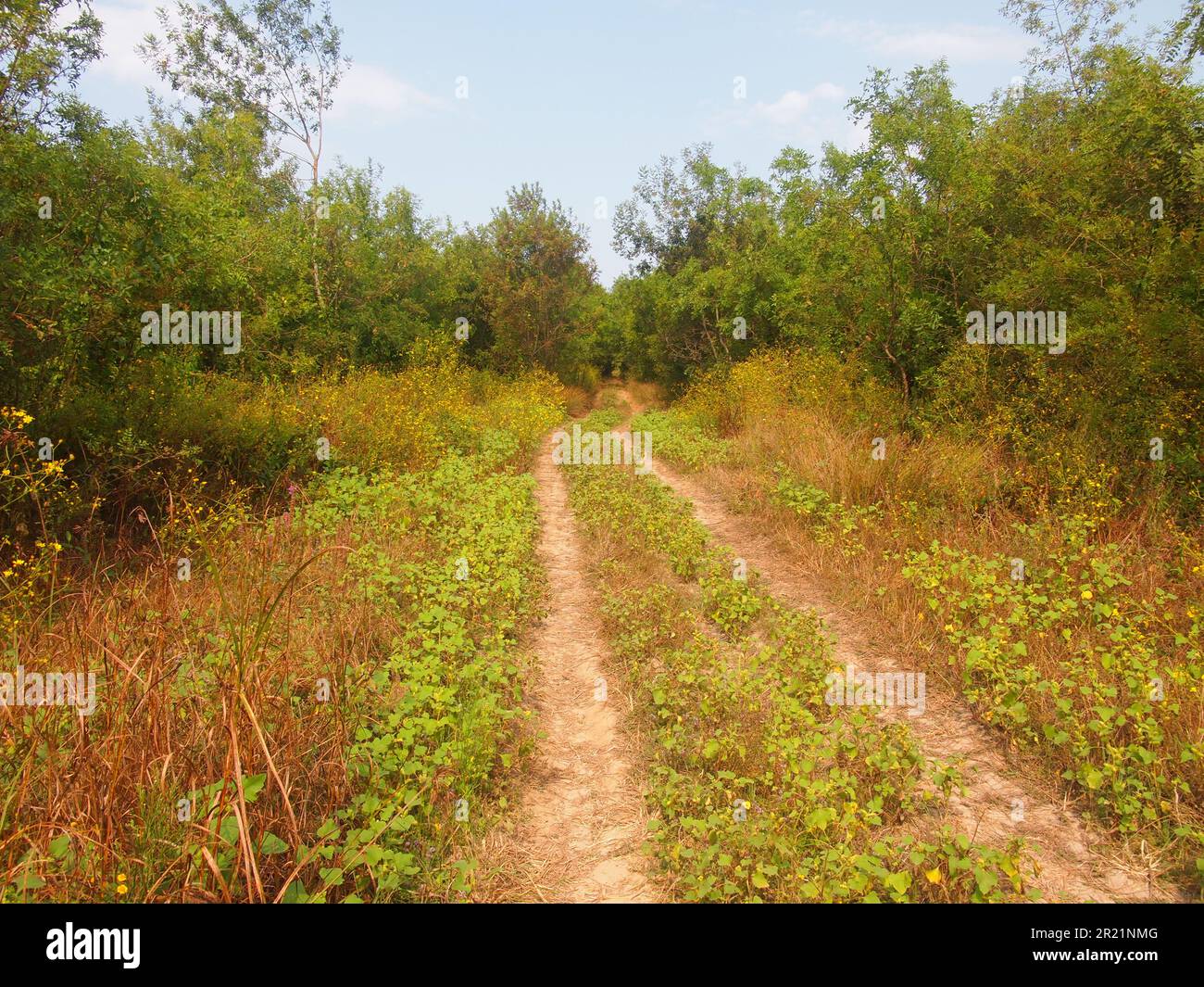 Strandzha Nature Park (Burgas Province, Republic of Bulgaria Stock ...