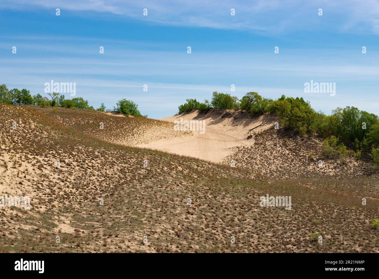 Sand dunes and Spring landscape on a sunny morning. Warren Dunes State ...