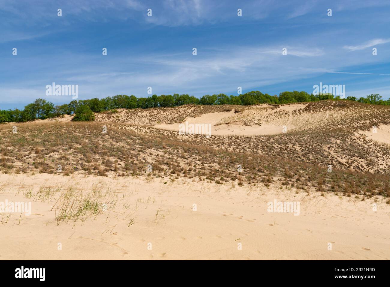 Sand dunes and Spring landscape on a sunny morning. Warren Dunes State ...