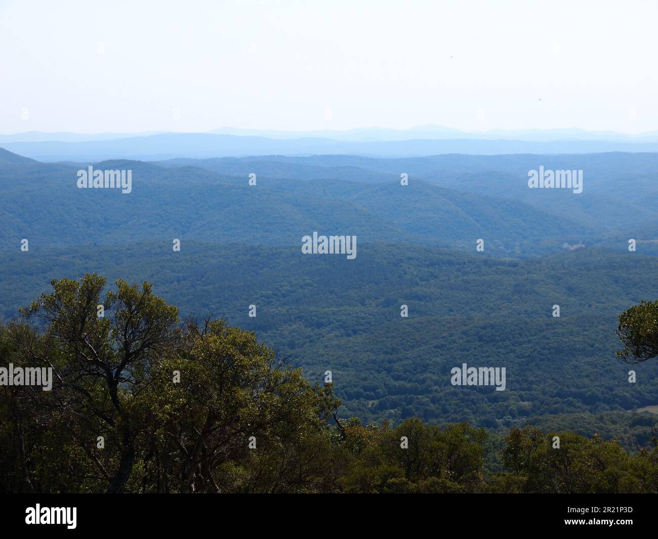 Strandzha Nature Park (Burgas Province, Republic of Bulgaria Stock ...
