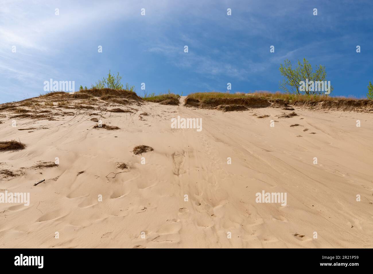 Sand dunes and Spring landscape on a sunny morning. Warren Dunes State ...