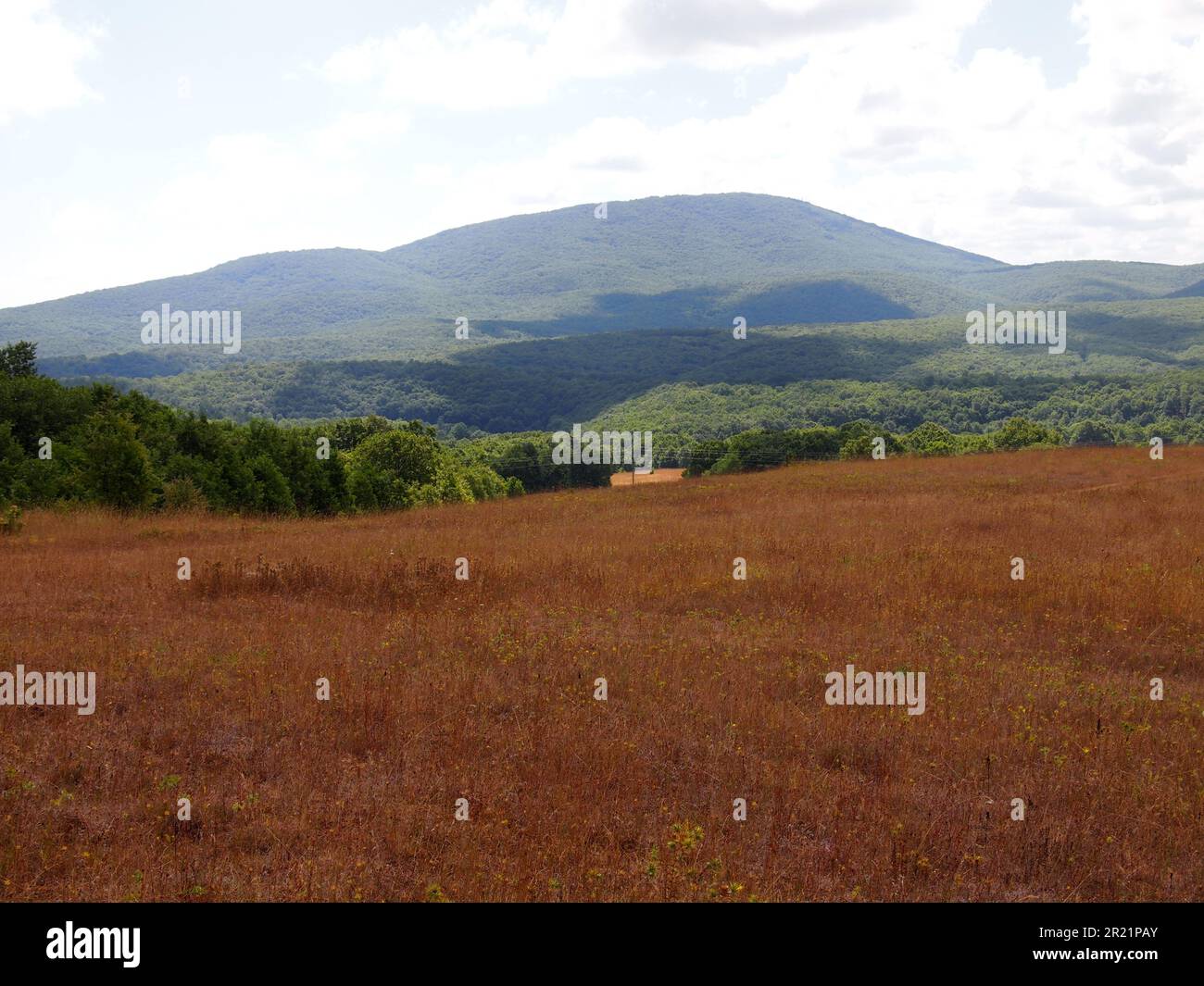 Strandzha Nature Park (Burgas Province, Republic of Bulgaria Stock ...