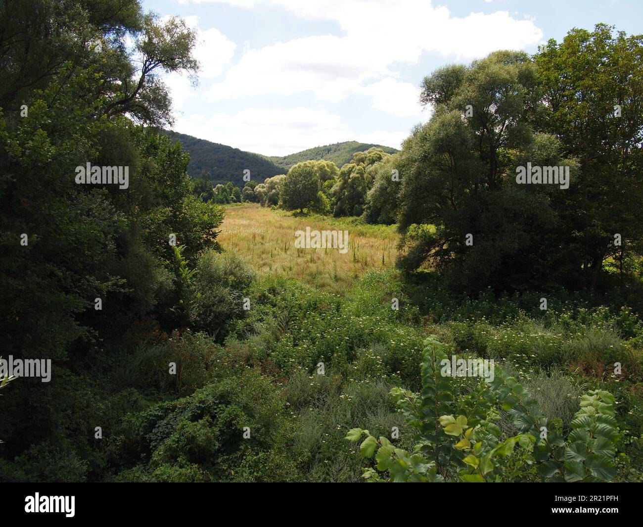 Strandzha Nature Park (Burgas Province, Republic of Bulgaria Stock ...