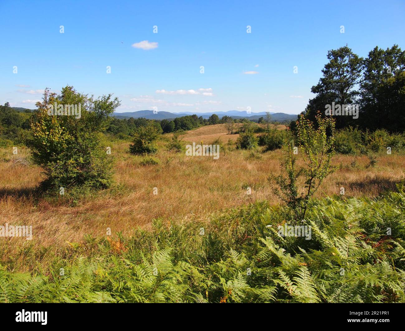 Strandzha Nature Park (Burgas Province, Republic of Bulgaria Stock ...