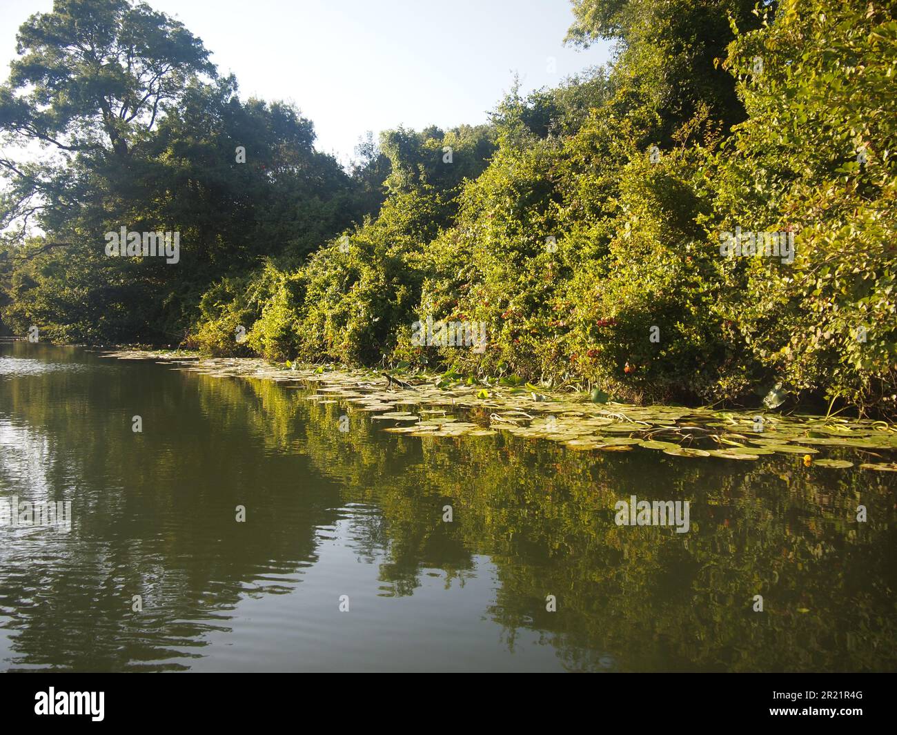 Veleka River (Strandzha Nature Park, Burgas Province, Republic of ...