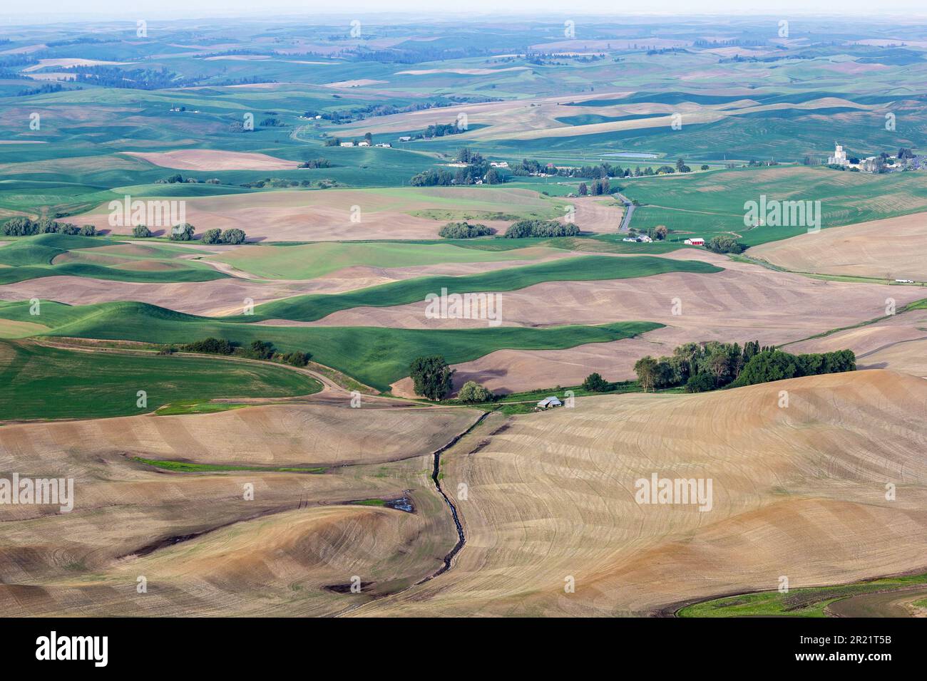 Endless wheat fields in the Palouse region of Washington state in ...