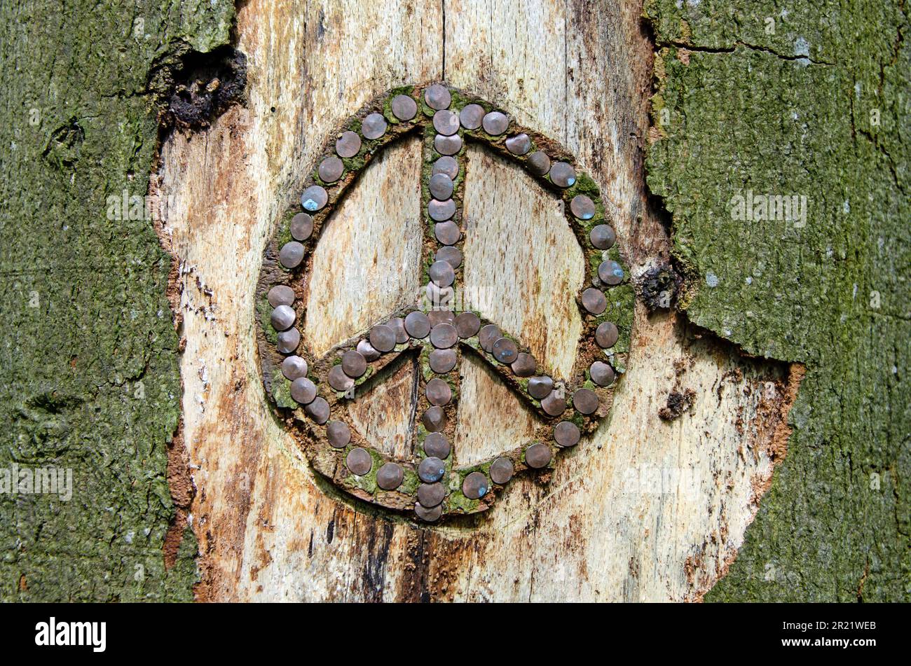 Peace sign on a dead tree trunk made with nail heads and bark cut out ...