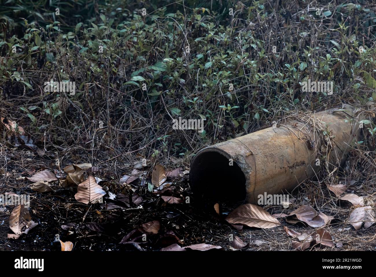 polluted water drains into the forest. Save the environment Stock Photo ...