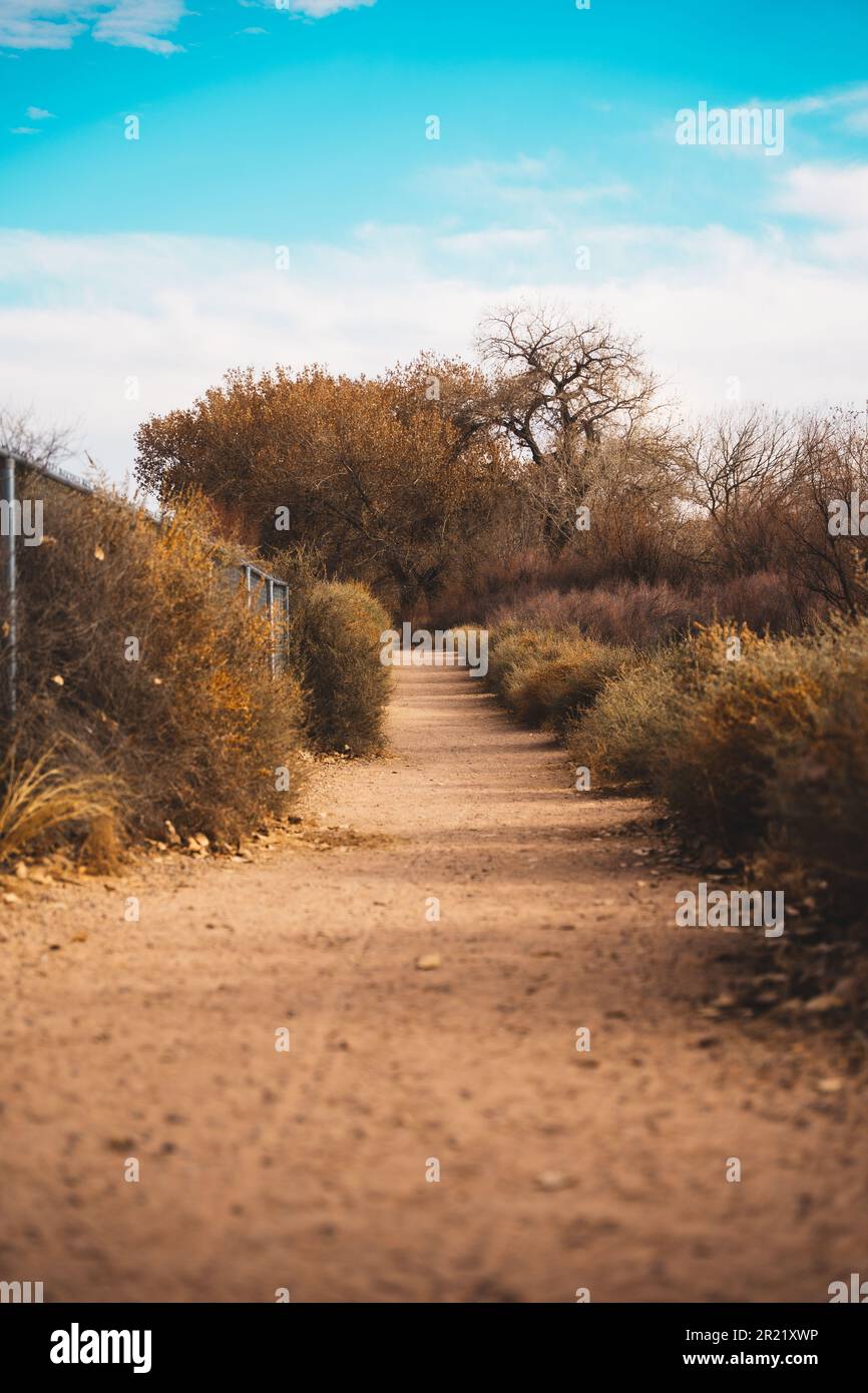 A scenic pathway meandering along the Rio Grande River in Albuquerque ...