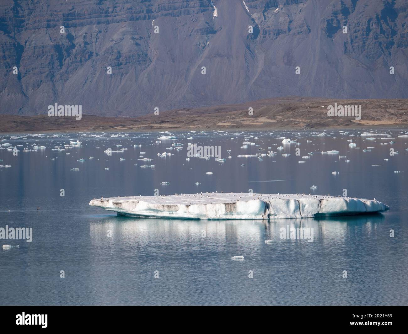 An iceberg floating in the ocean near the mountains and glaciers Stock ...