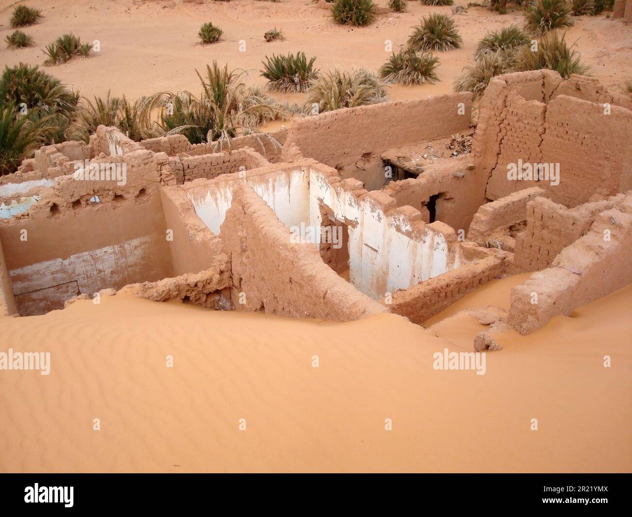 Timimoun oasis hi-res stock photography and images - Alamy