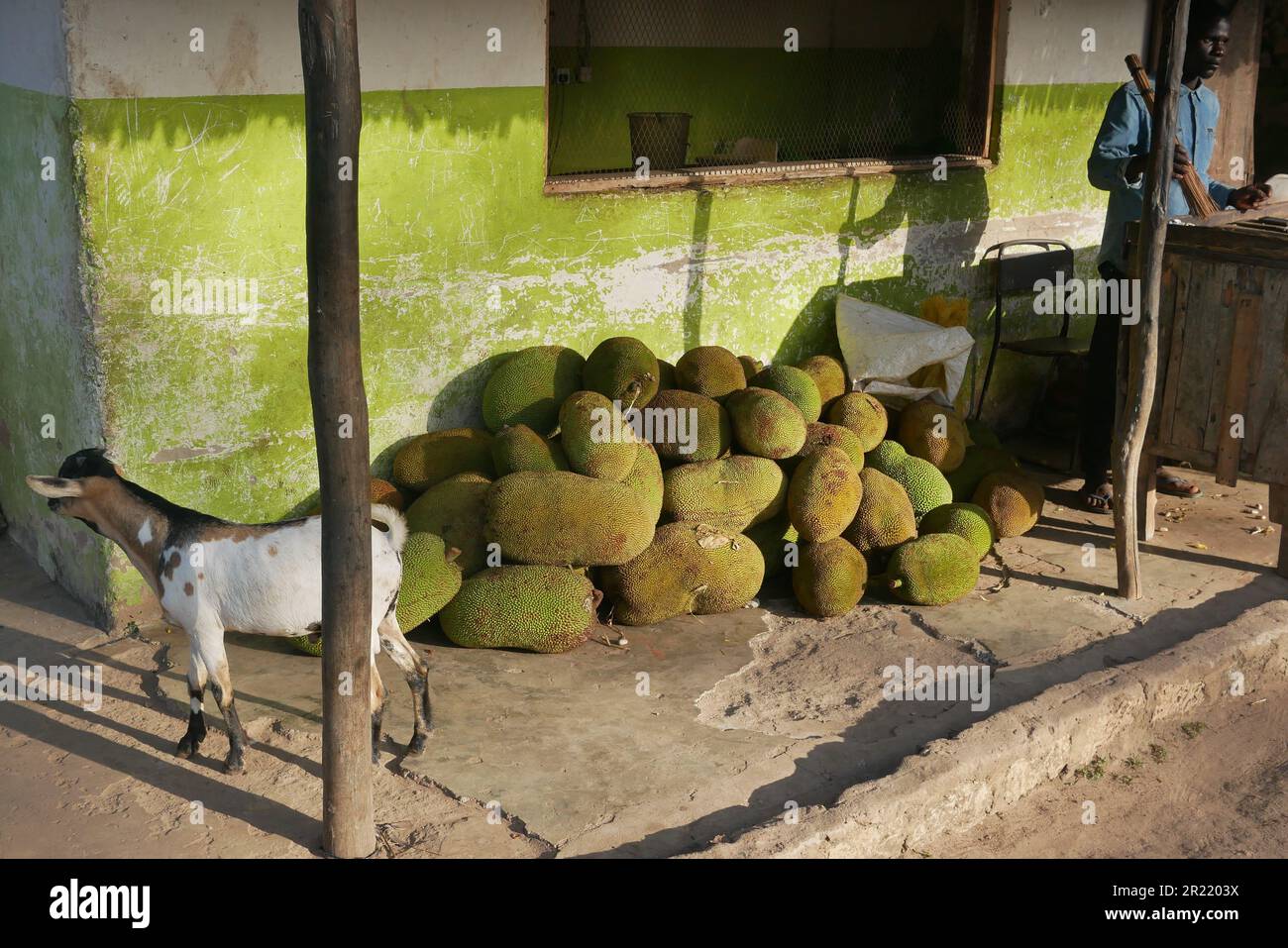 Goat selling hi-res stock photography and images - Alamy