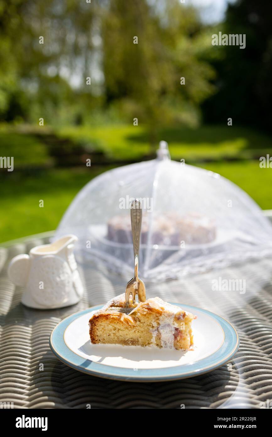 Pop up cake mesh hi-res stock photography and images - Alamy