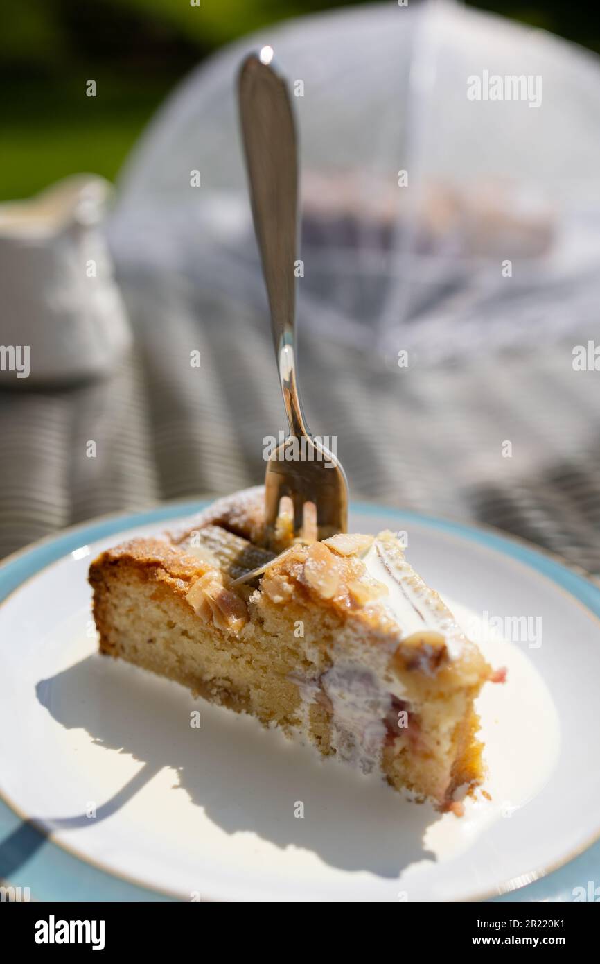 Pop up cake mesh hi-res stock photography and images - Alamy