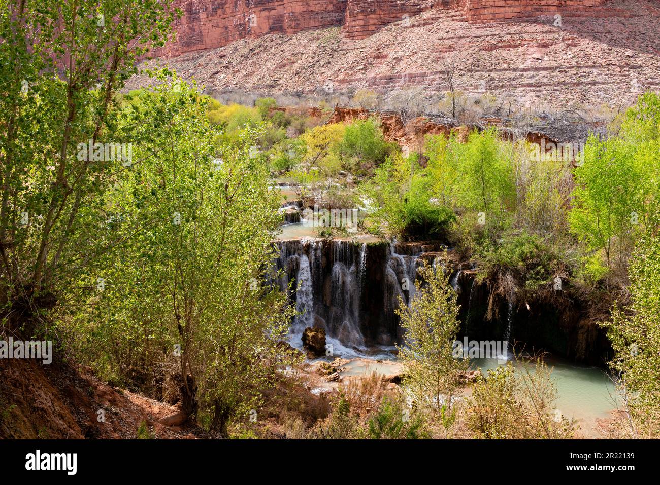 Fifty Foot Falls along Havasu Creek, near the village of Supai, Arizona ...