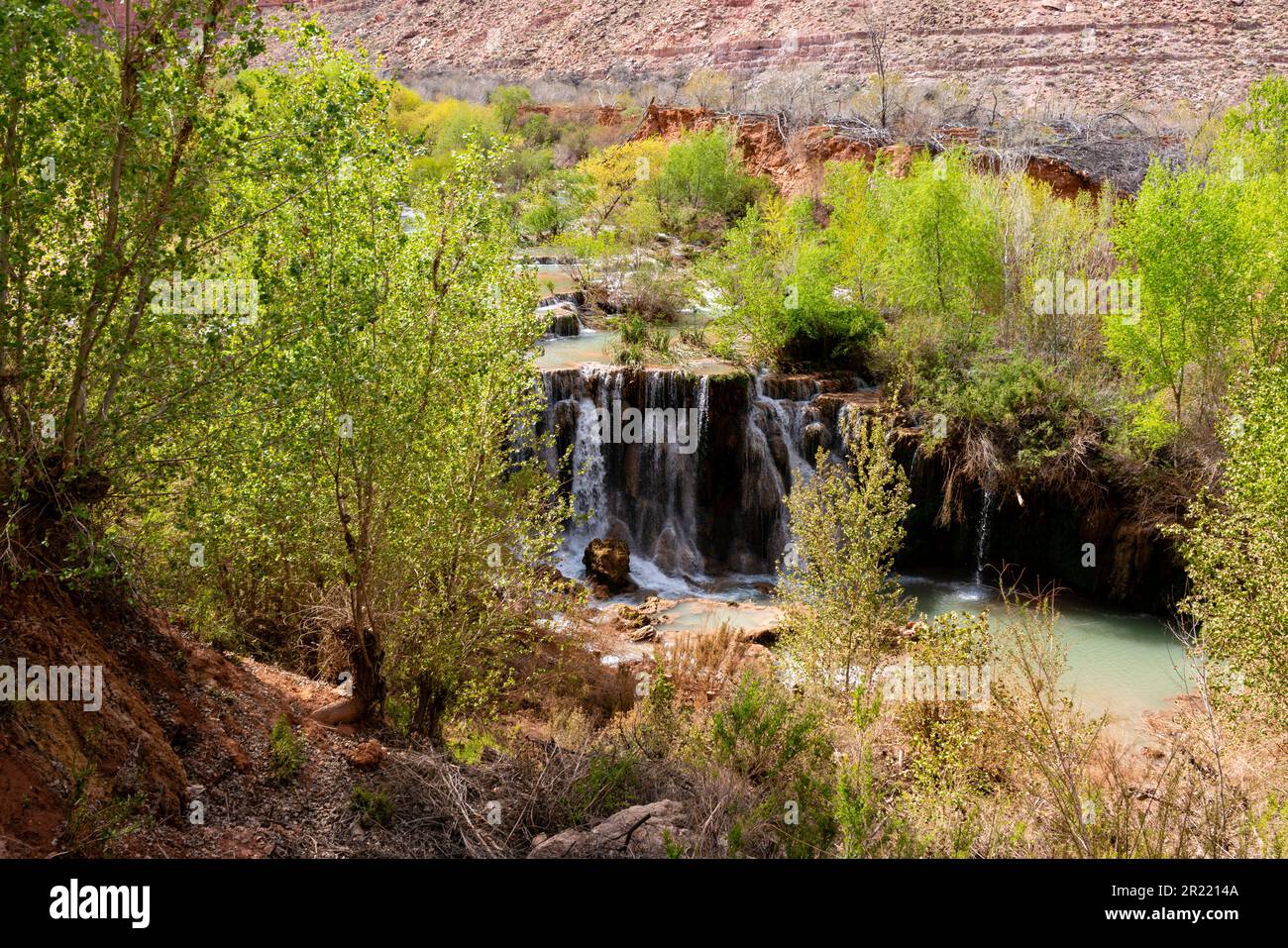 Waterfall near havasu falls hi-res stock photography and images - Alamy