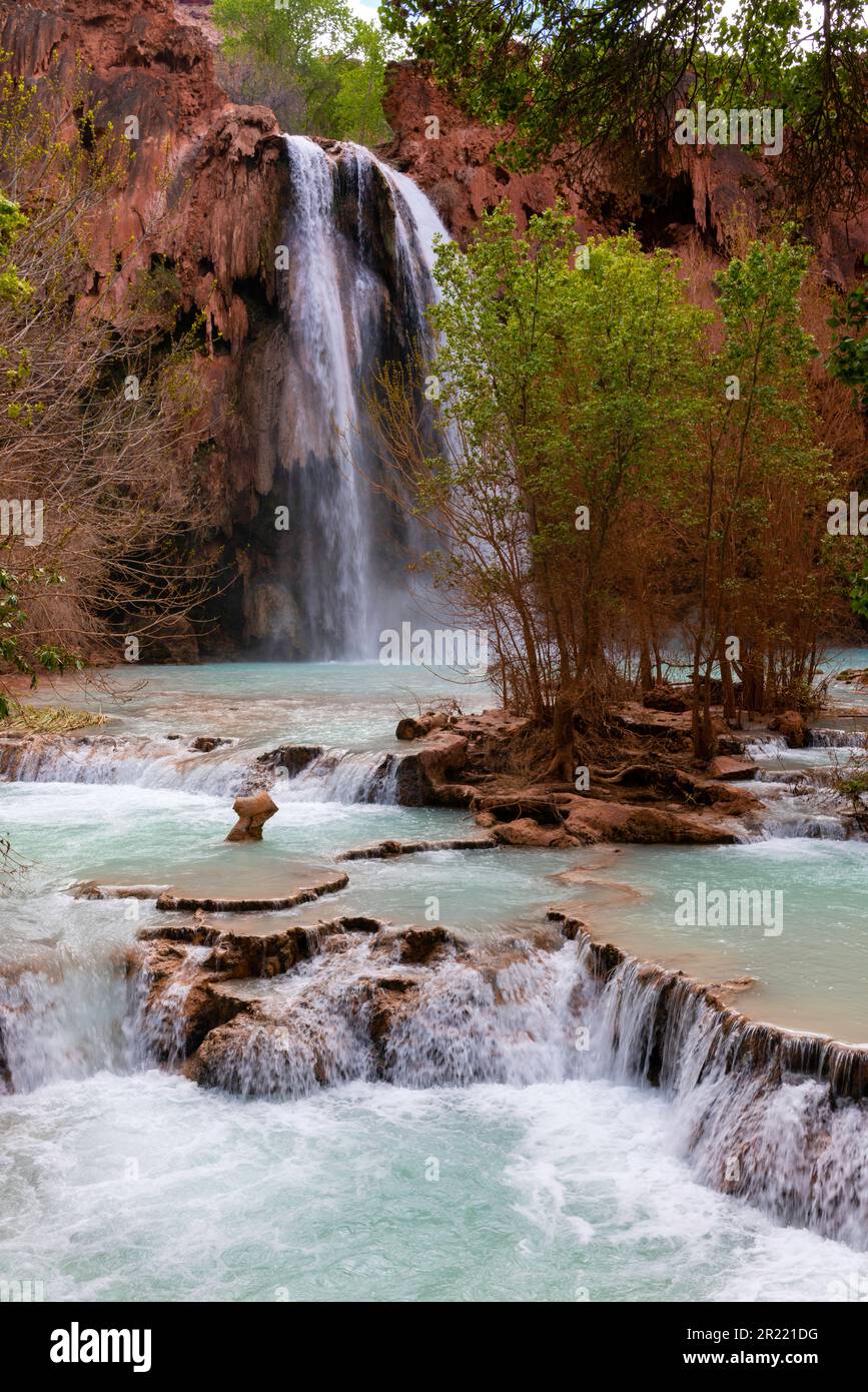 Havasu Falls. Supai, Arizona, USA Stock Photo - Alamy