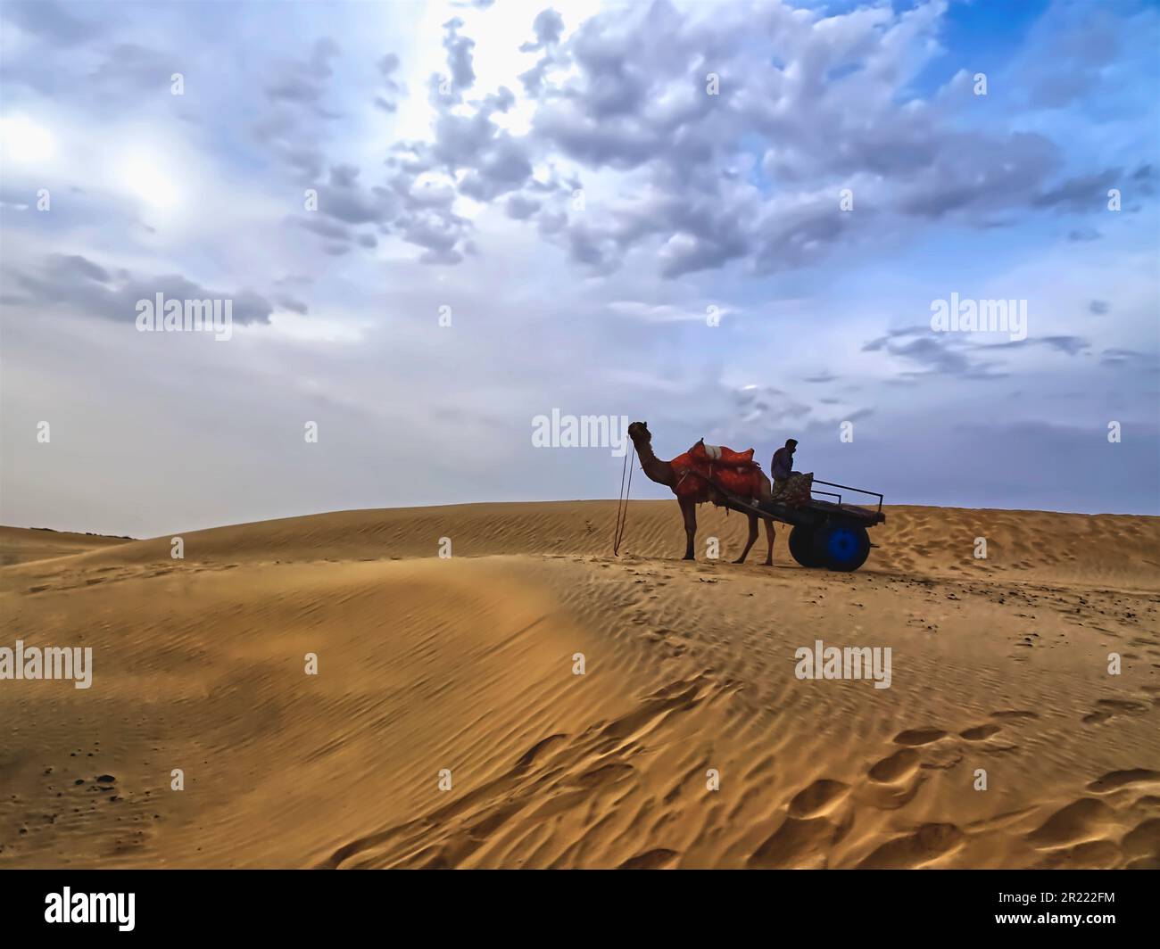 Man feeling alone in the desert on its camel carriage under the cloudy ...