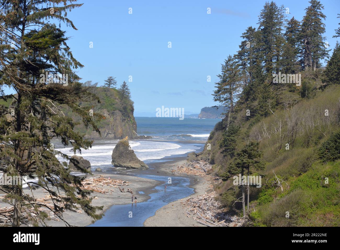Sea Stacks at Ruby Beach Stock Photo - Alamy