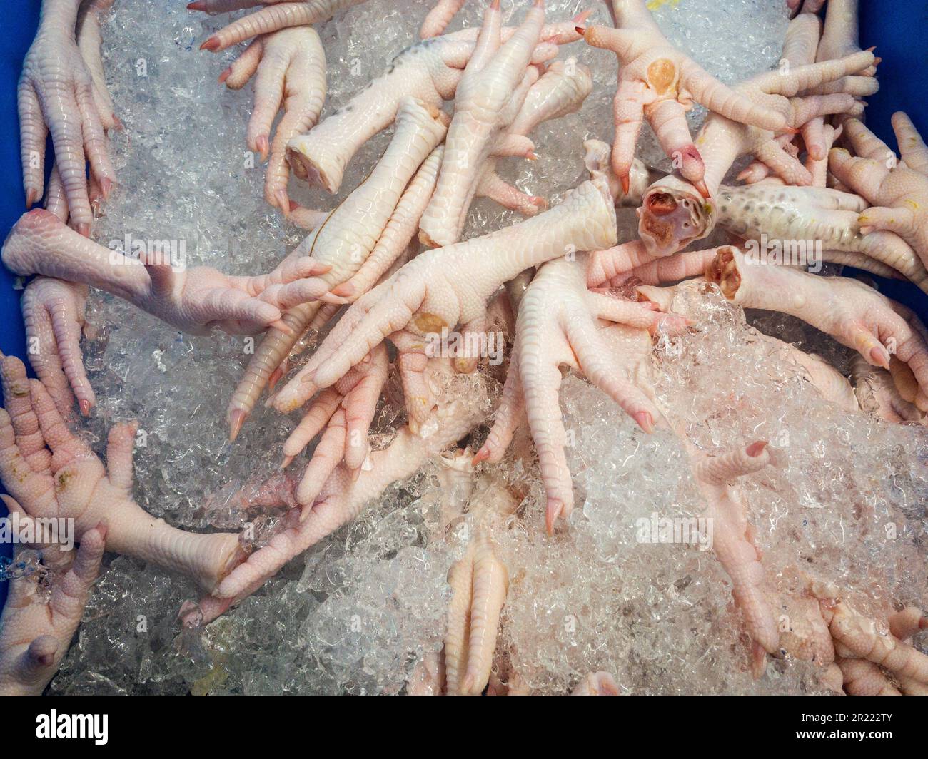 raw chicken feet on sale in Asian market Chicken feet can be cooked for ...