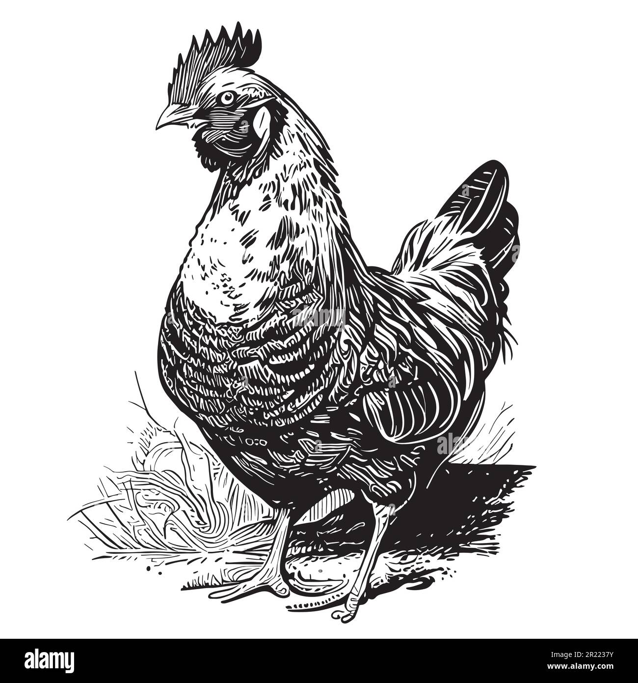 Hen Chicken standing on the grass hand drawn sketch in doodle style ...