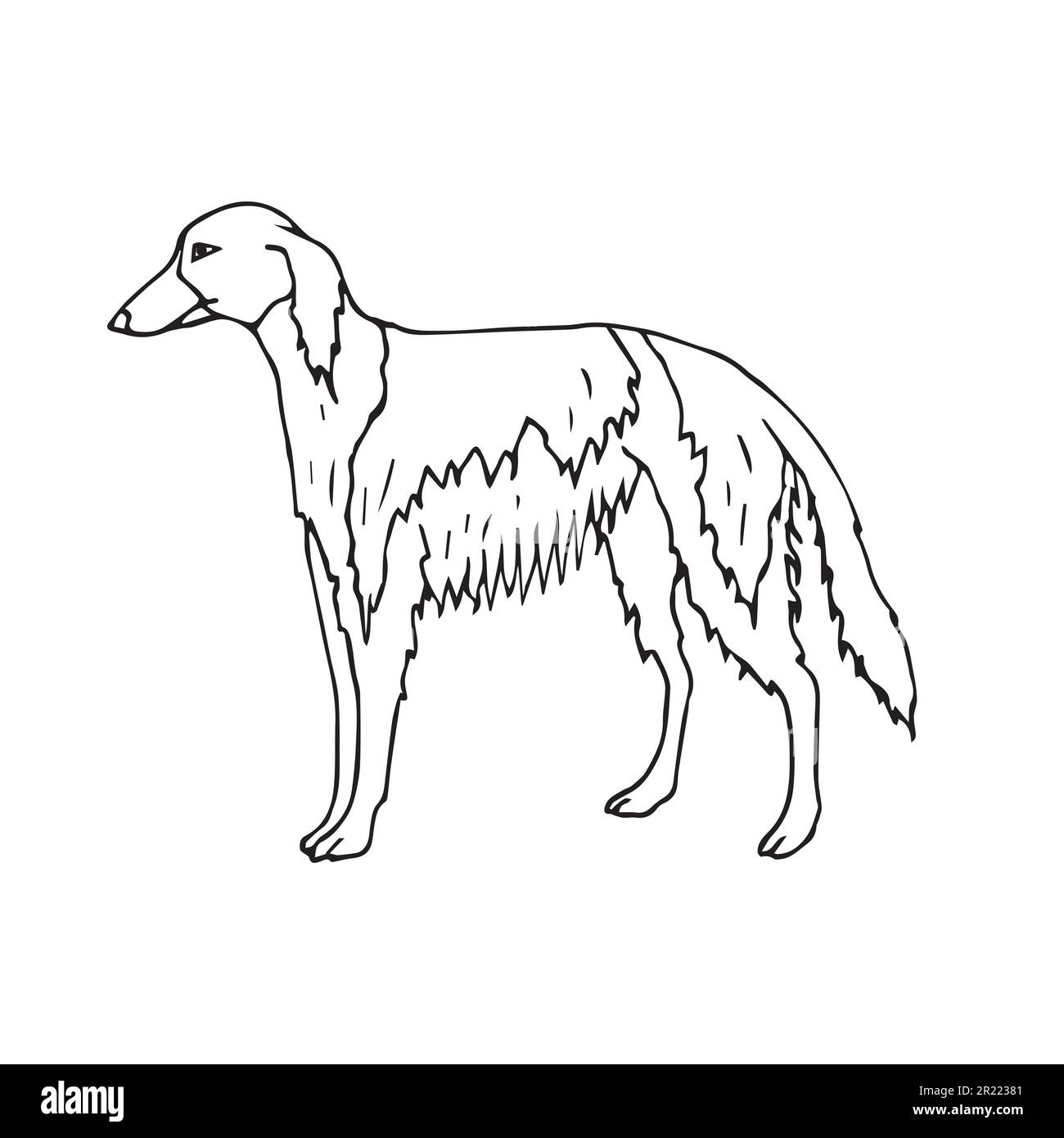 Vector hand drawn doodle sketch russian borzoi dog isolated on white ...
