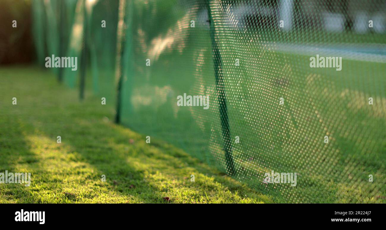 Home garden backyard wire division fence separating two houses Stock ...