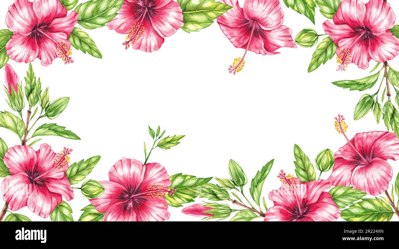 Rectangular watercolor frame of hibiscus flowers. Isolated illustration ...