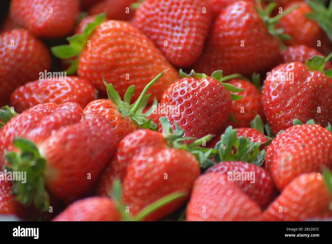 Beautiful large strawberries hi-res stock photography and images - Alamy