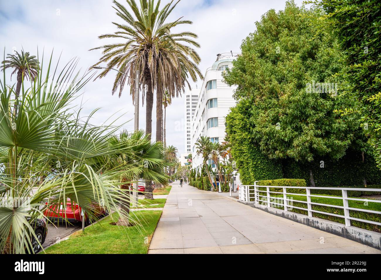 Sidewalk lined with palm trees in Santa Monica, California, on a partly ...
