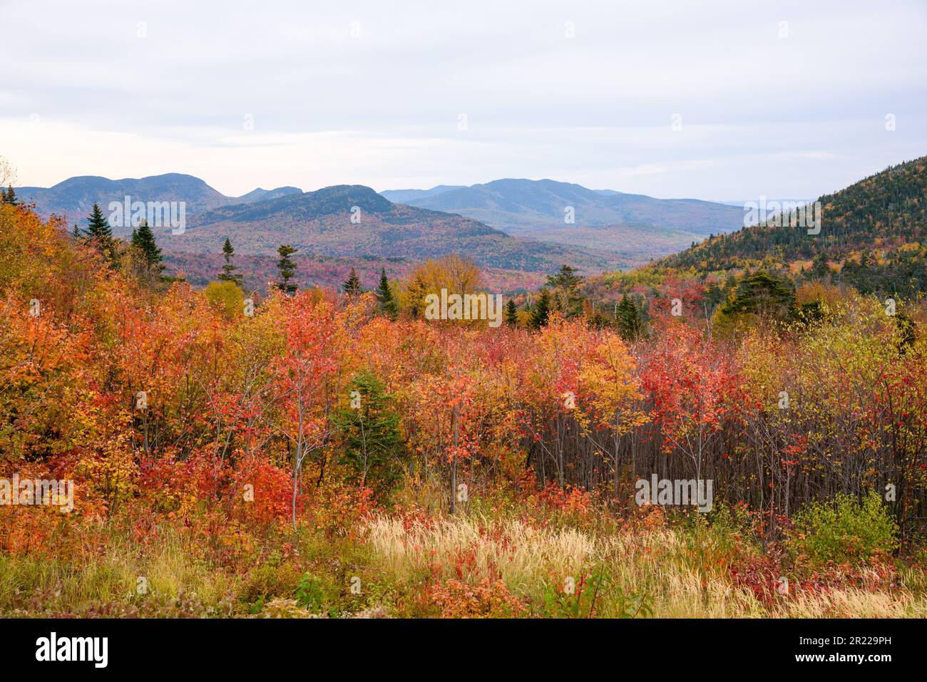 Season landscape landscape hi-res stock photography and images - Alamy