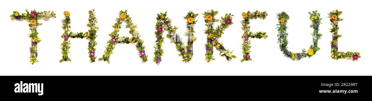 Colorful Blooming Flower Letters Building Word Thankful Stock Photo - Alamy