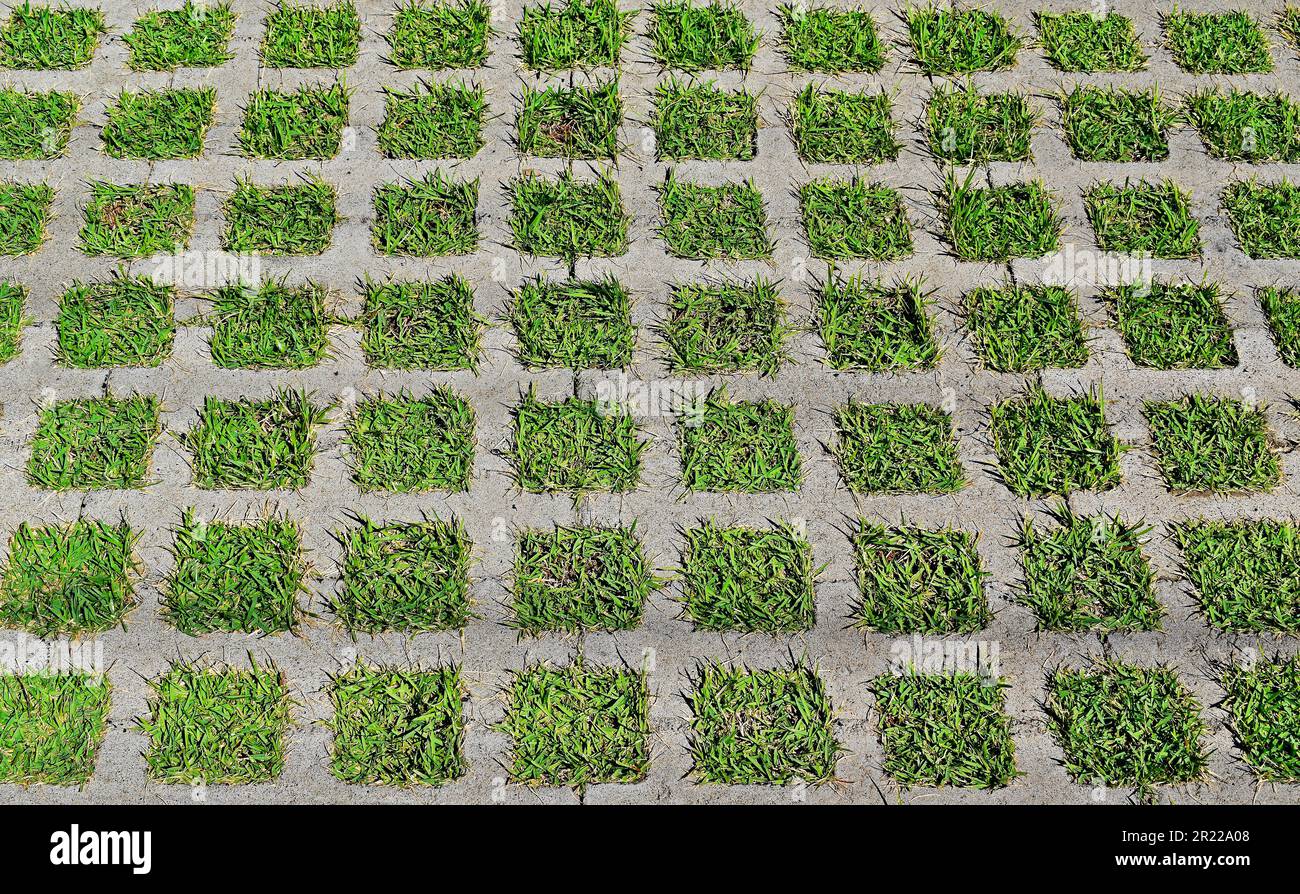 Concrete and grass pattern on public square floor Stock Photo - Alamy
